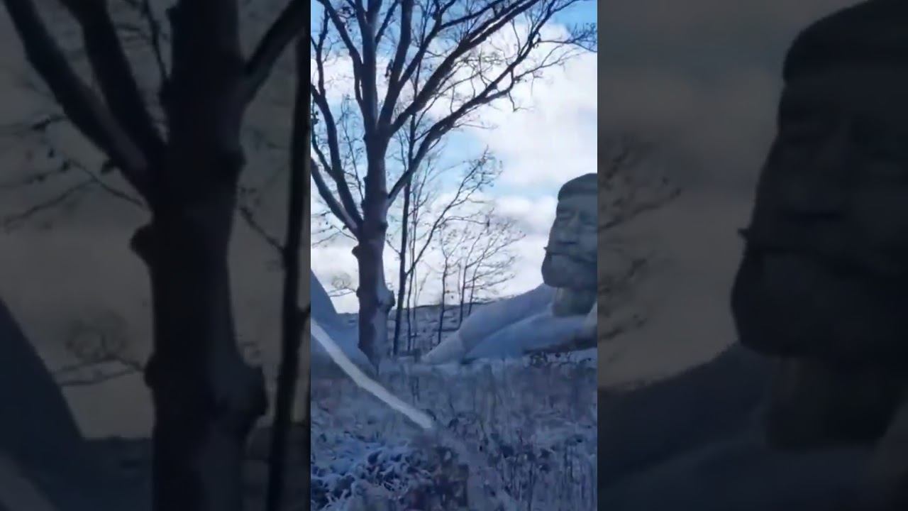 Дерево там такое!!