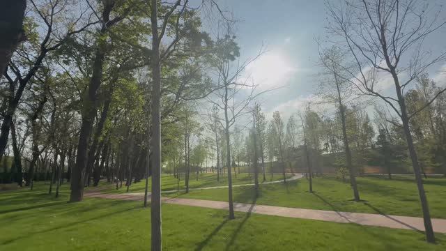 самый красивый парк Галицкого 22.04.2025