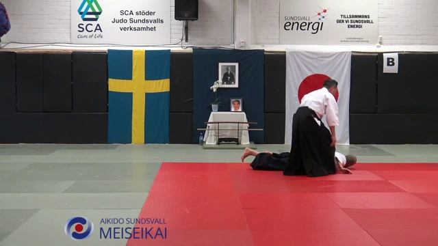 7 Aikido Yokomen Uchi Techniques Shishiya Sensei, Sundsvall 2017
