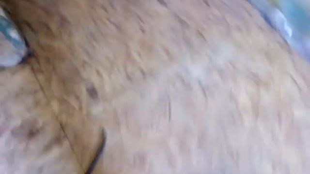 Лючёк для подпола