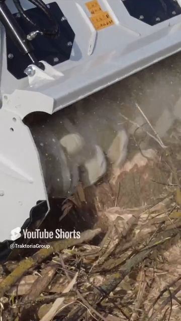 Расходуем пни для обучения работе мульчером Niubo KXM160 89261385927 #ротоватор #мульчер #niubo #nb
