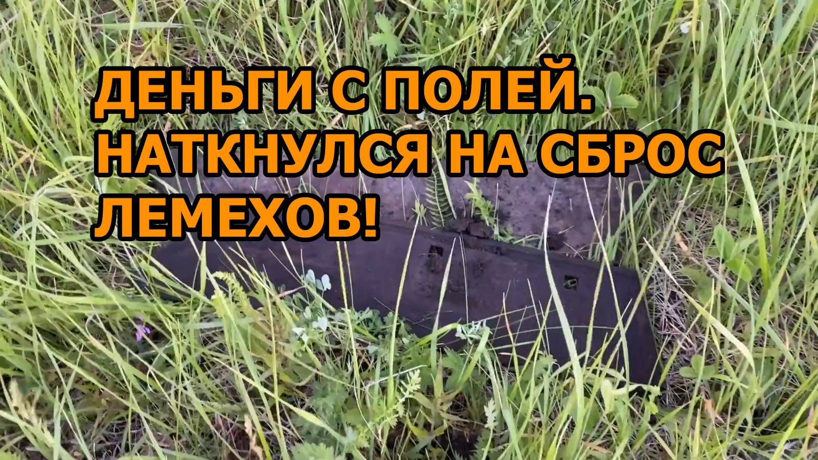 Гуляю по полям и зарабатываю деньги. Нашел сброс лемехов в полях