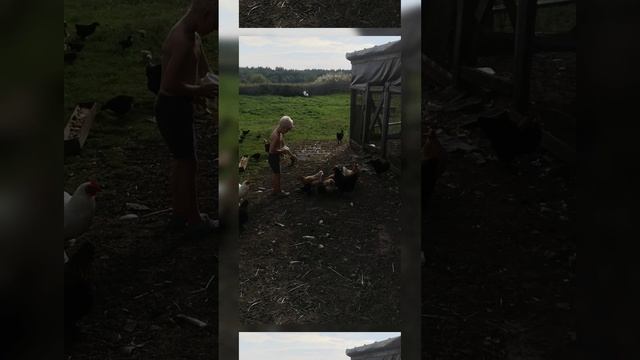 Лето в Кумзеро 2022