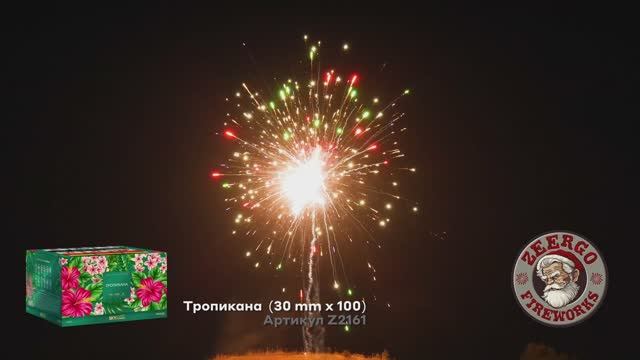 Премиум фейерверк на 100 зарядов ТРОПИКАНА Z2161 ZEERGO