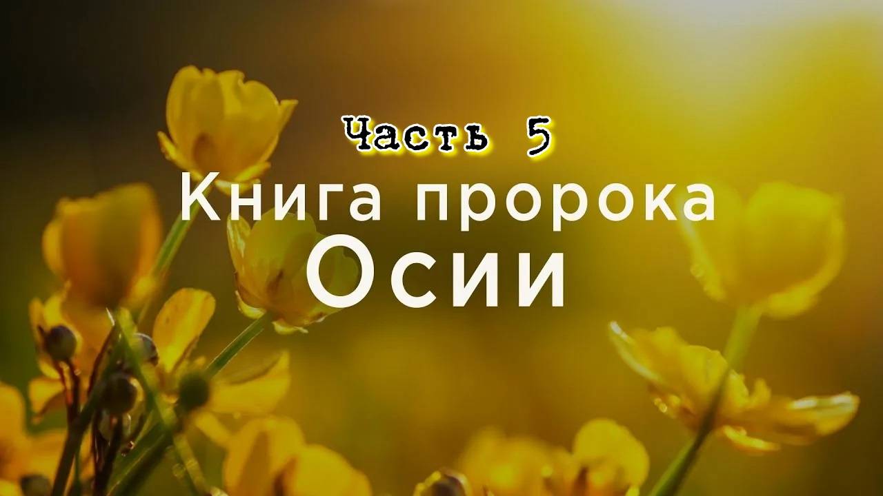 Часть 5