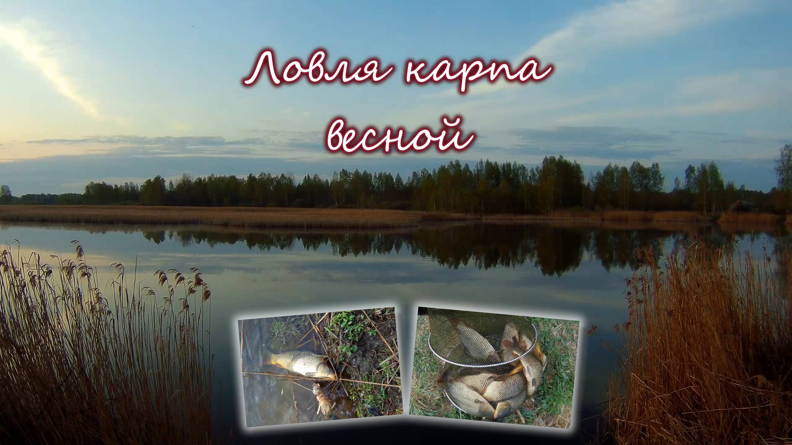 Хочу рыбы! Ловля карпа весной 2025