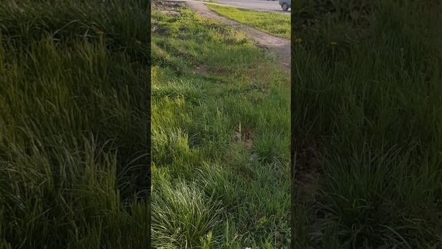 Работать или не работать...