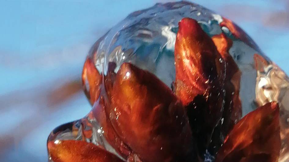 Бывает так......!?