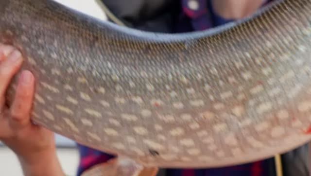 "СТРАНА РЫБАКОВ". Ненецкий автономный округ. Печора.