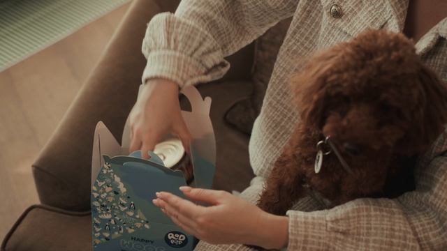 Готовое pet-friendly решение для отелей от компании «Валта Пет Продактс»