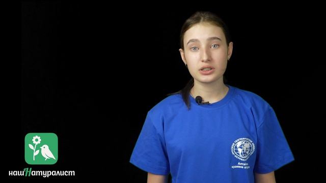 Весна. 
Проект "Сохраняем и исследуем. Открой свой край"