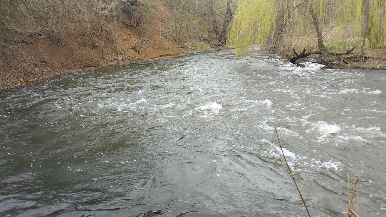 3-й день отдыха. Вкусные пельмени, измерение  U  реле заряда на автомобиле. Ответ на комментарии.