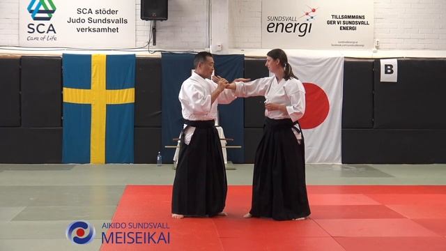 2 Aikido Ai Hanmi Nikyo, When Does The Conflict Truly End, Shishiya Sensei Sundsvall, 2017
