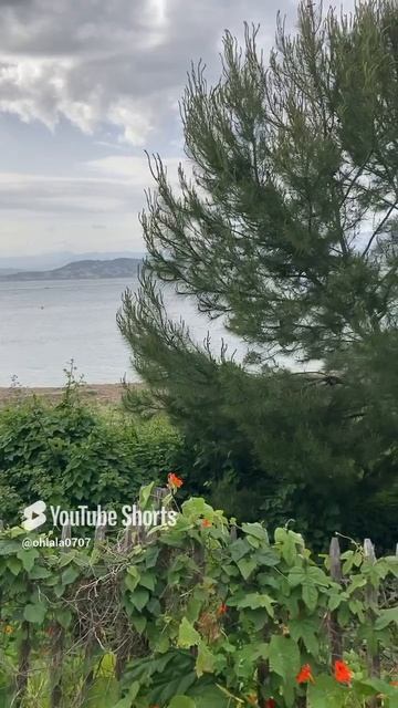 Каждому свое!