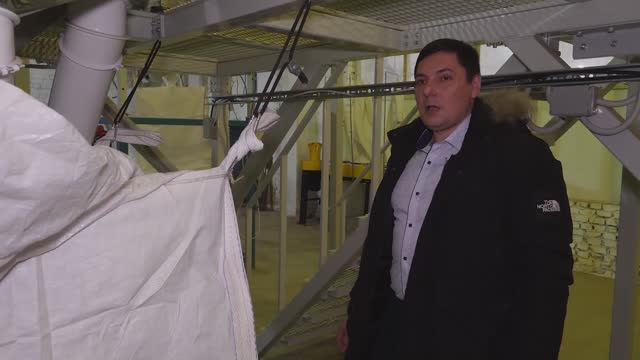 Семенная линия Сапсан: сортировка люцерны