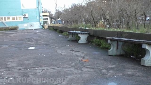 Архив 2020. Почему не убирают в Купчино на улице Белы Куна ?