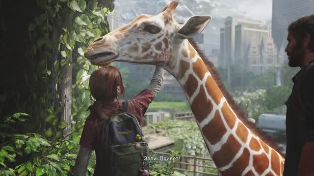 The Last of Us - Part I (2023) #11