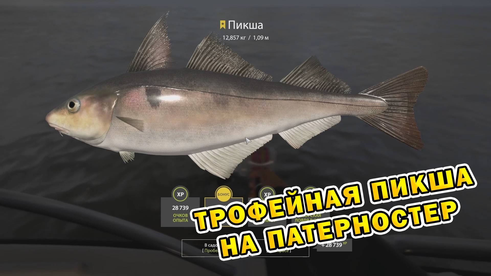 РР4 | Норвежское море | Трофейная пикша на патерностер