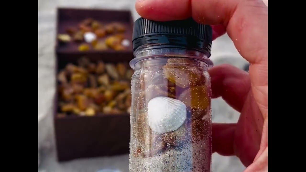 Сбор янтаря на пляже Балтийского моря на сувениры