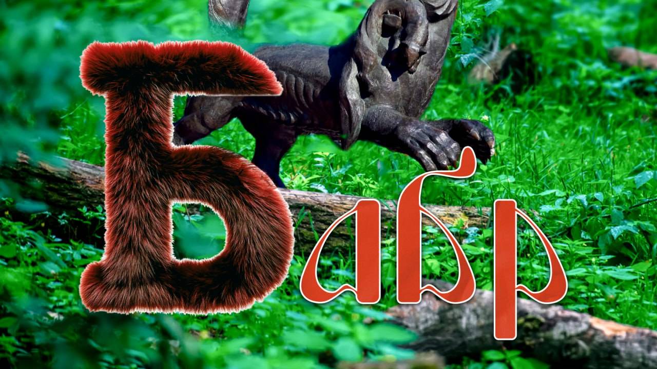 Иркутский алфавит: буква «Б» – Бабр. Иркутск
