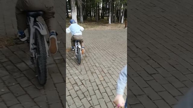 Дорога в садик