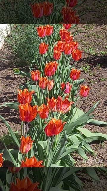 Доброго утра!