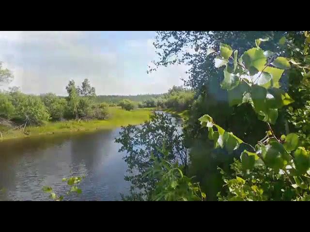 Тиийэн кэллим Тандабар