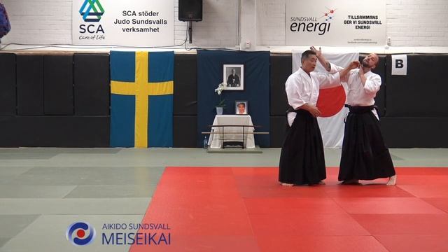 6 Aikido Yokomenuchi Gokyo Shishiya Sensei, Sundsvall 2017