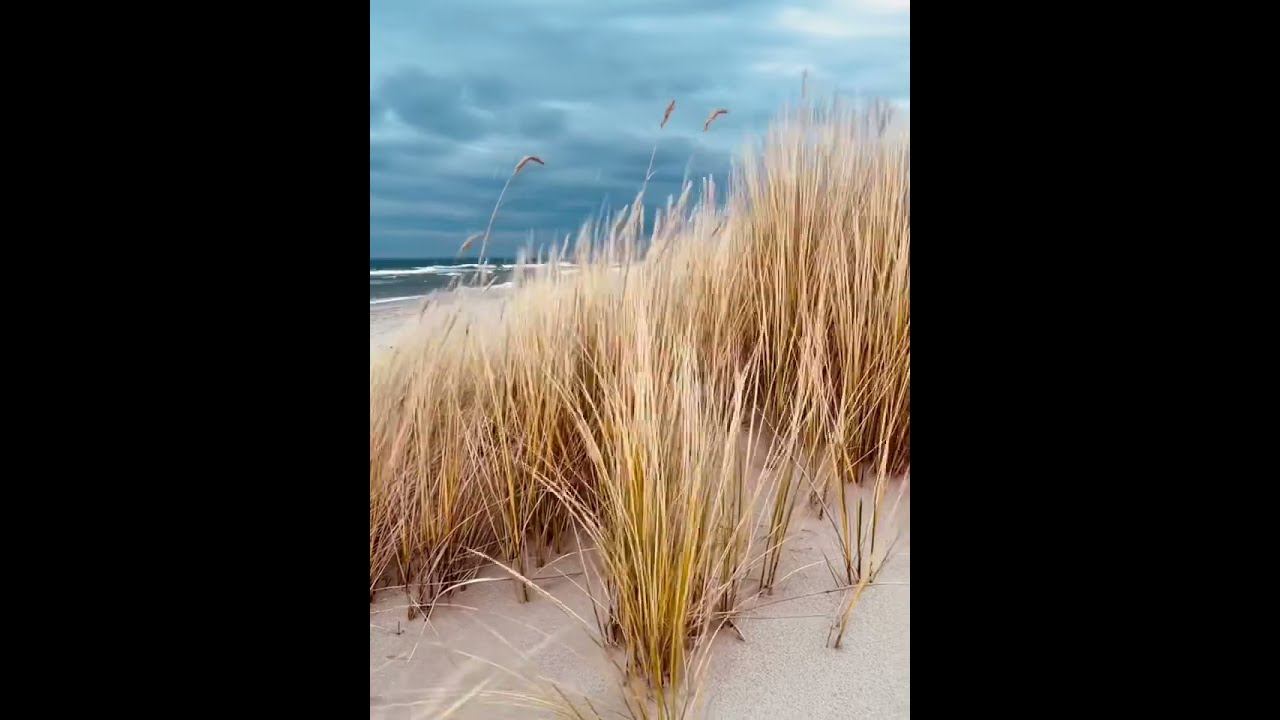 Поездка по Калининградской области, Балтийск, море