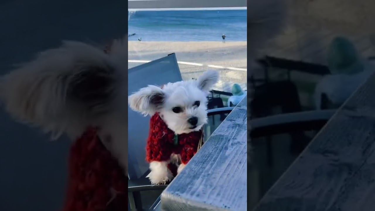 30 ноября 2022 г.