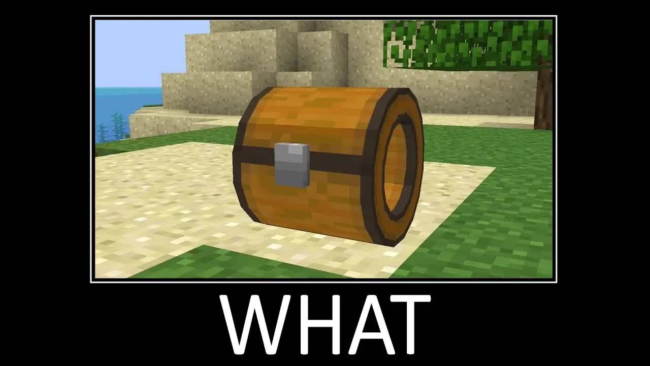 Wait What Minecraft Meme