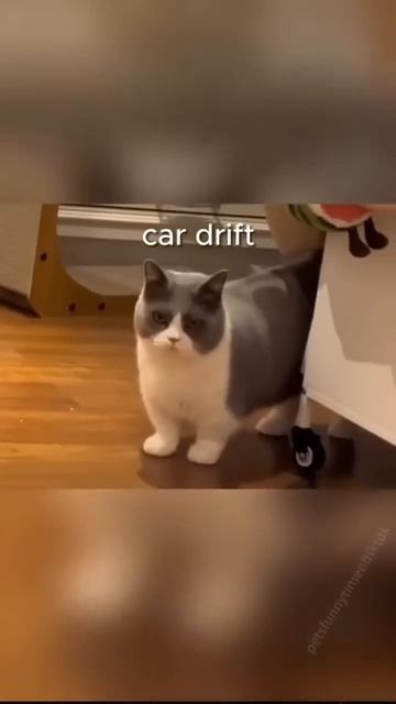 Спид ресинг