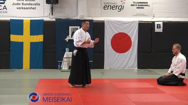 5 Aikido Philosophy Explained By Ai Hanmi Ikkyo Ura, Shishiya Sensei Sundsvall 2017