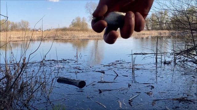 рыбалка в апреле! рыба есть уметь ловить надо!