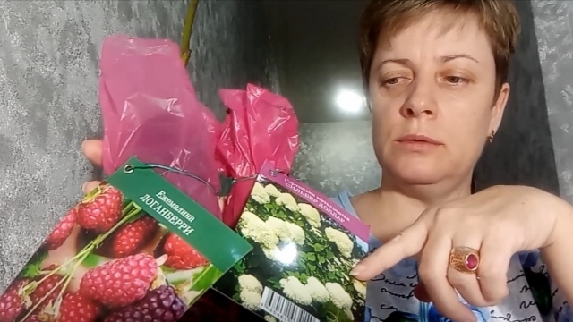 Саженцы из магазина Светофор, на что стоит обращать внимание при покупке