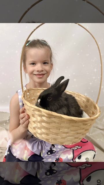 Фотосессия с кроликами