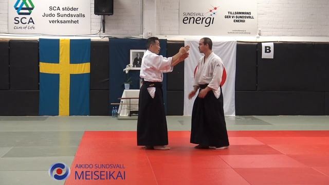 10 Aikido Shomen Uchi Kotegaeshi With Philosophy, Shishiya Sensei Sundsvall 2017