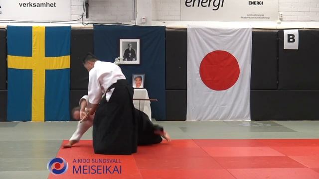 13 Aikido Jo No Tebiki Ai Hanmi Ikkyo Ura, Shishiya Sensei Sundsvall 2017