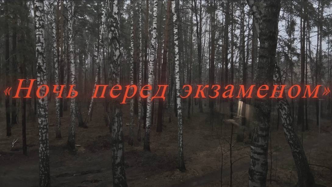 Ночь перед экзаменом