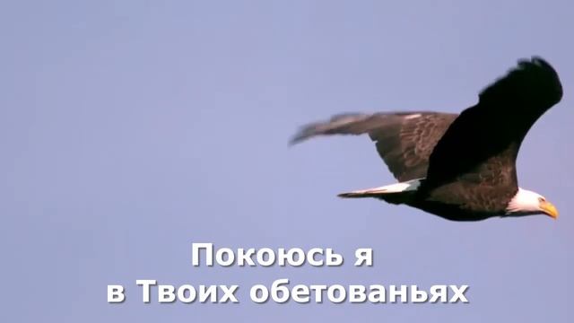 Духовное пение "Орлы" (караоке)