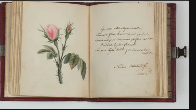 Альбом. Антон Чехов.