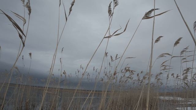 Первый весенний выезд на озеро