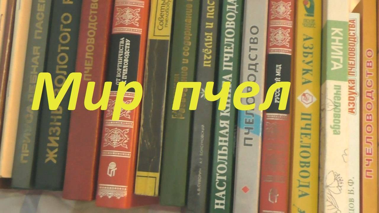 Что читает пчеловод, на чем учится