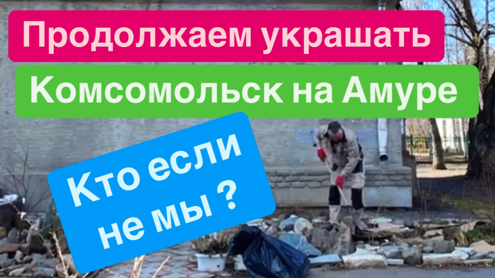 Украшаем Комсомольск на Амуре 🌳🦚🌷🌼🌸