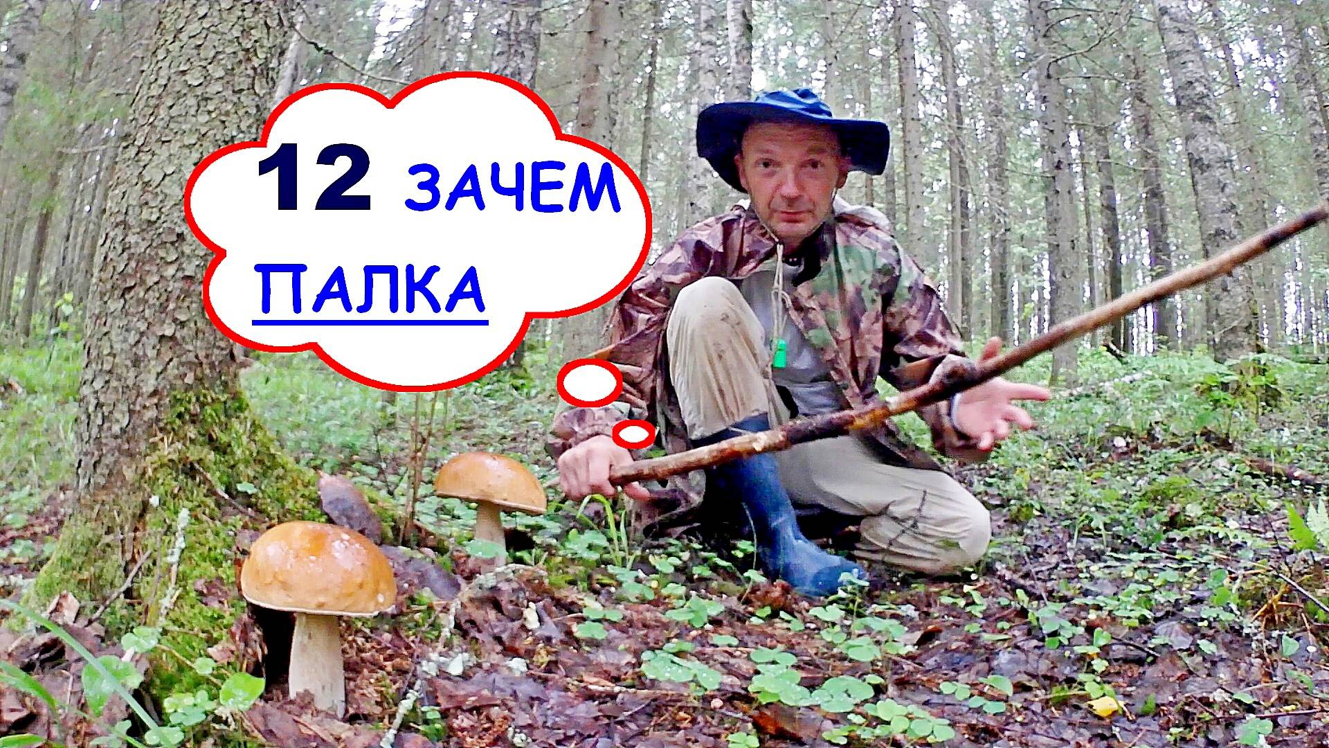 Зачем ПАЛКА грибнику?! 12 причин, почему и зачем нужна палка. ОСОБОЕ расследование #грибникAnSer