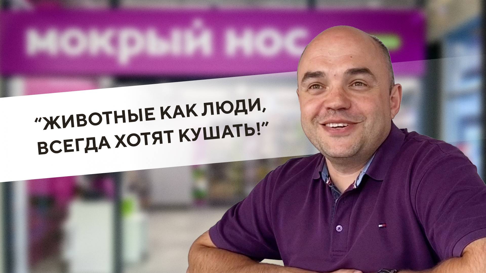 Отзыв о франшизе зоомагазина Мокрый нос