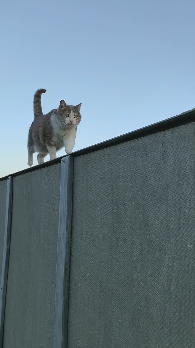 Пограничный обход Сони. Снято снизу))