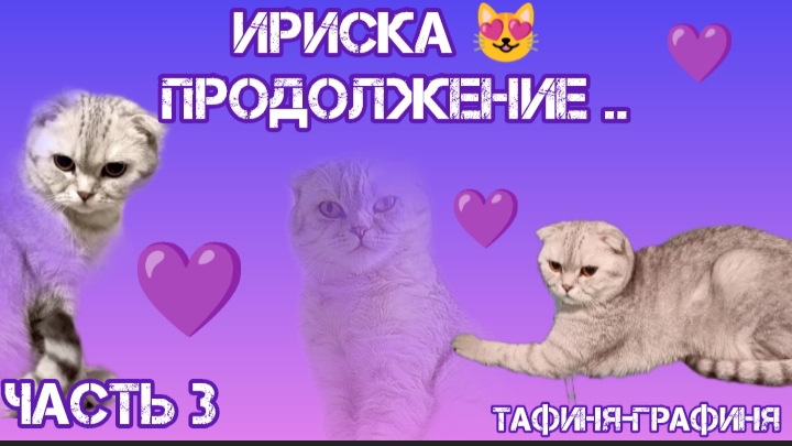 😻Ириска😻 Продолжение/ Ответы на вопросы ❤️/ Спасибо большое за теплые слова ❤️🙏🏼