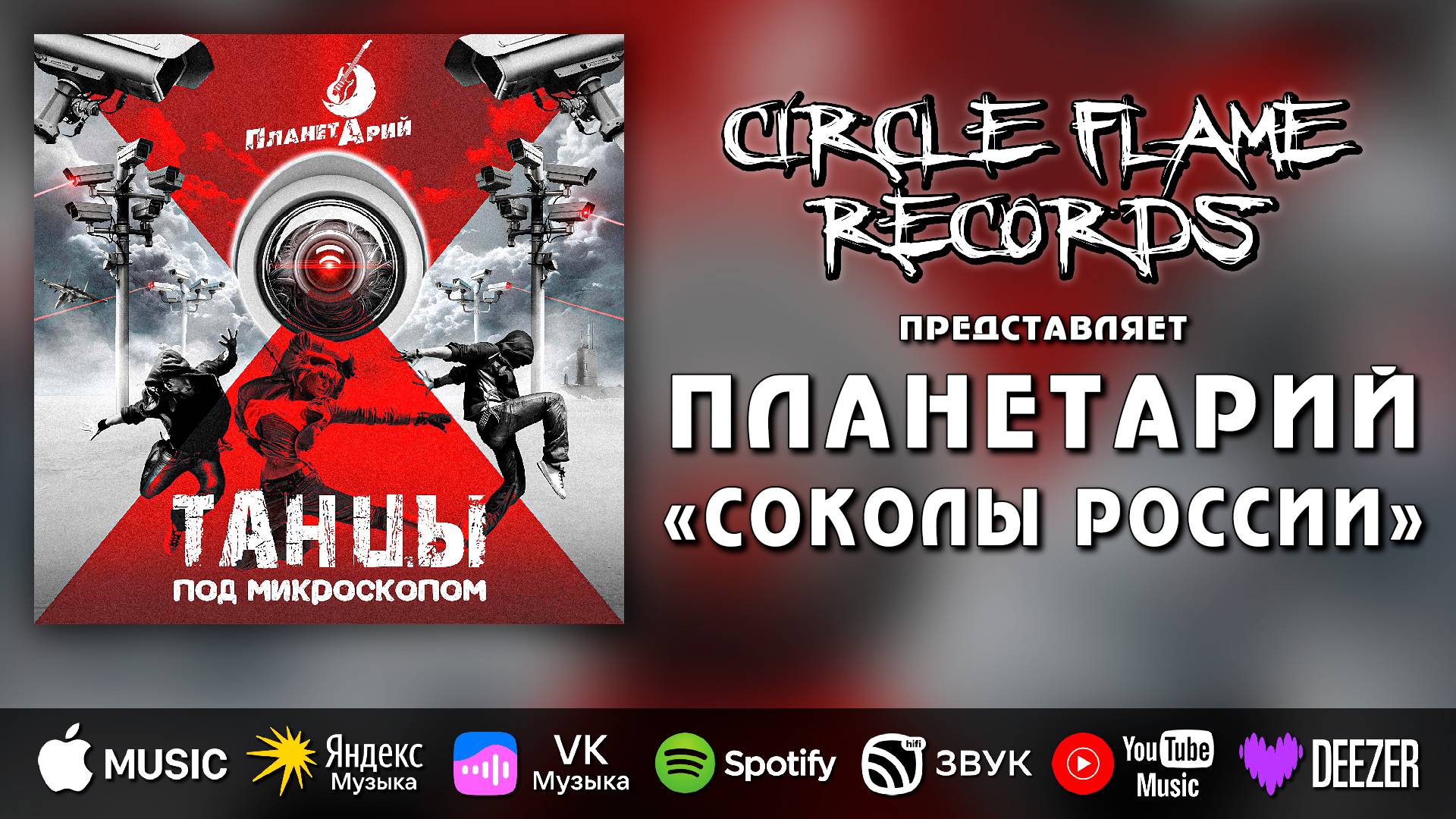 ПланетАрий – Соколы России