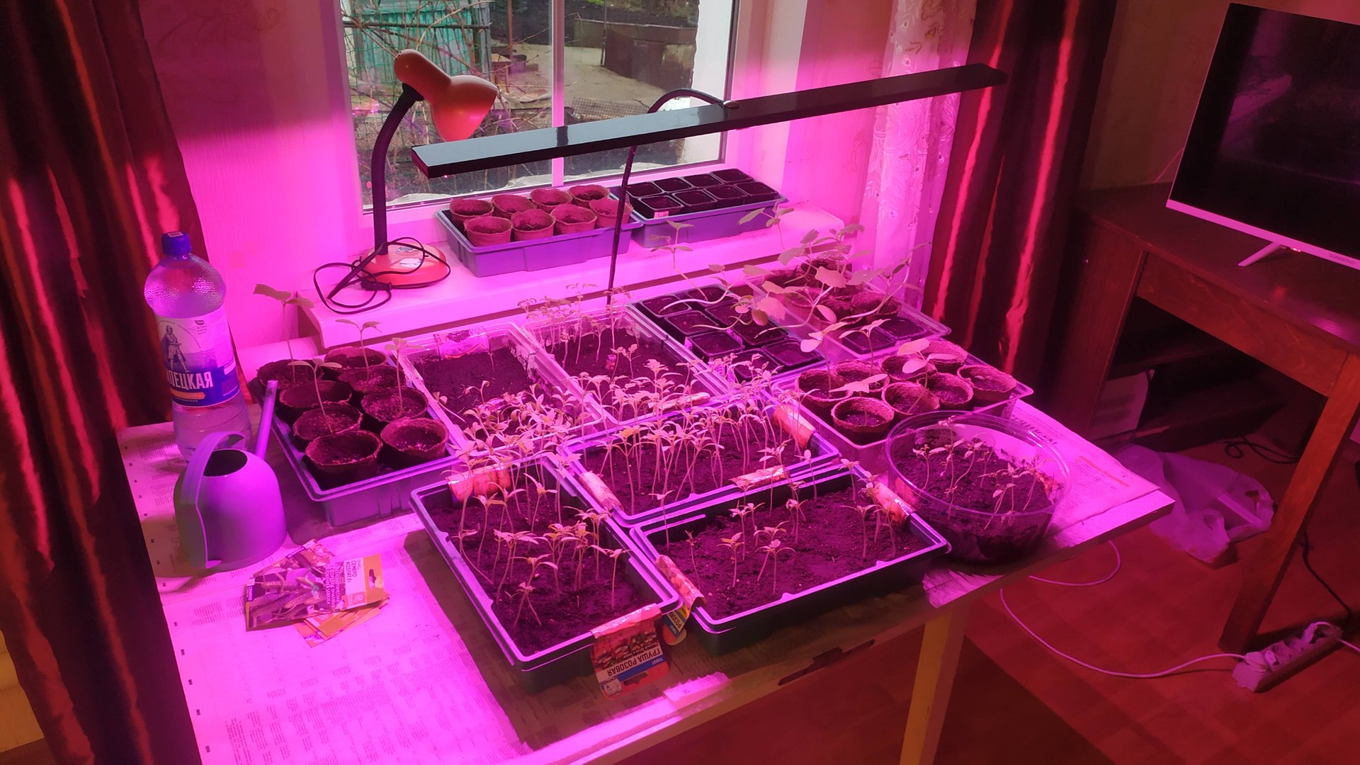 Как сделать  своими руками фитолампу  для растений?!